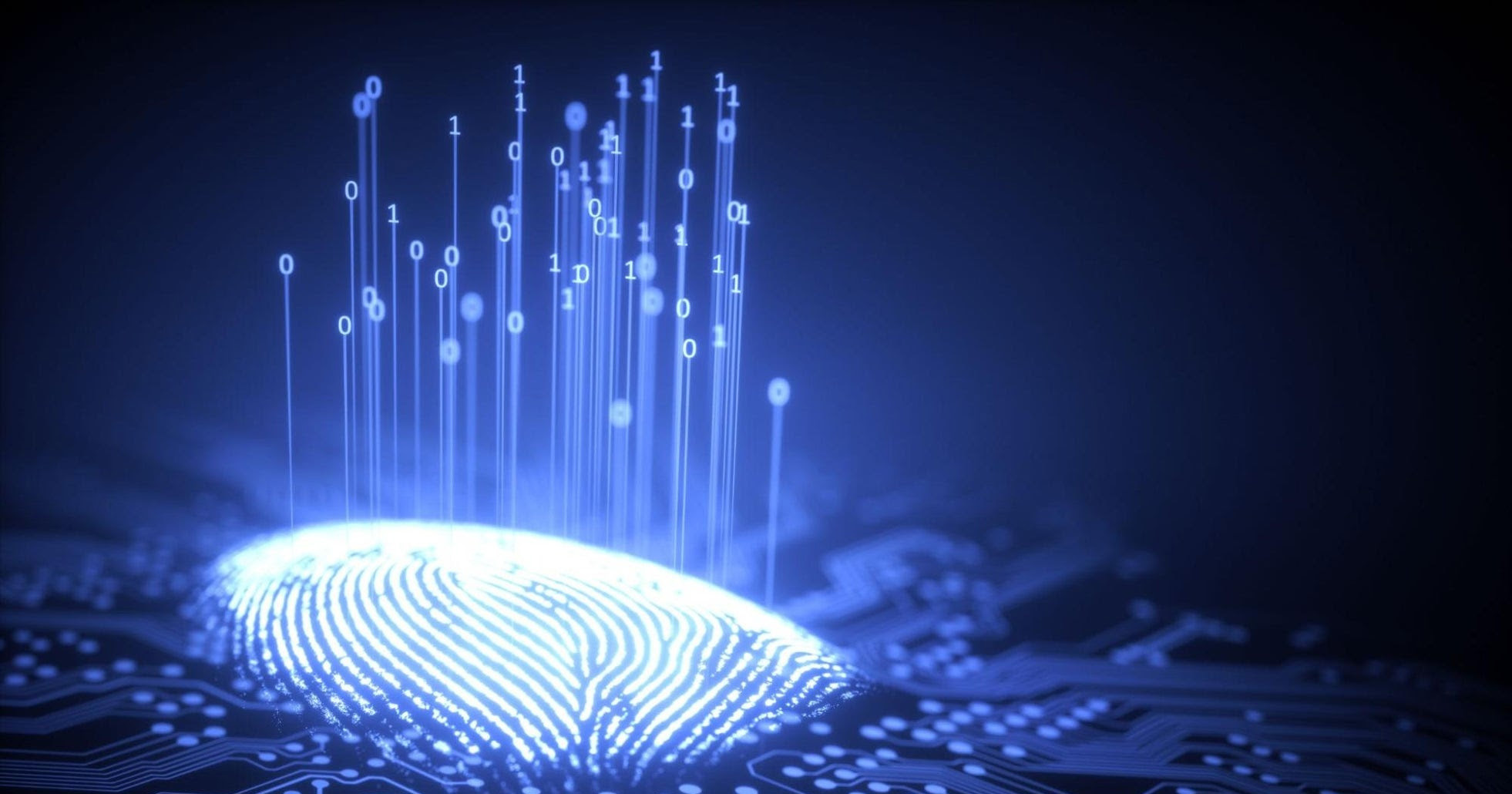 Introducing Citadel Lens for Validating Biometric Systems - Citadel AI